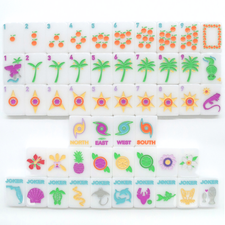 Sunshine Tiles- A Florida Inspired Mahjong Set — ShopTheAddison